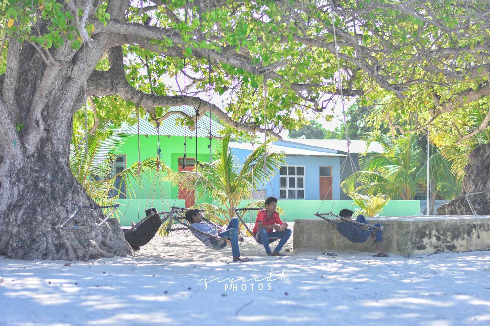 Miadhu haveeru 6 in feshigen Fainu ga fiyavalhuthah harukashi kuranee ...
