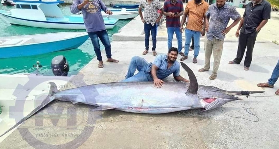 Innamaadhoo bayaku 243 kg ge mashibareh baanaifi | Fainu Online